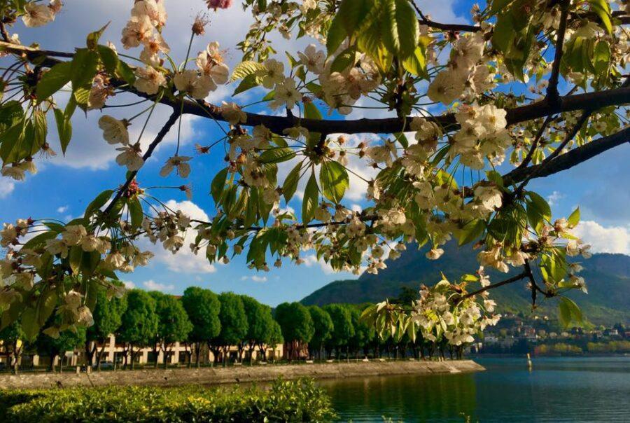 Colico - Lake Como photos - Lago di Como